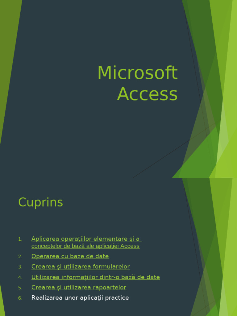 Baze de Date Microsoft Access | PDF