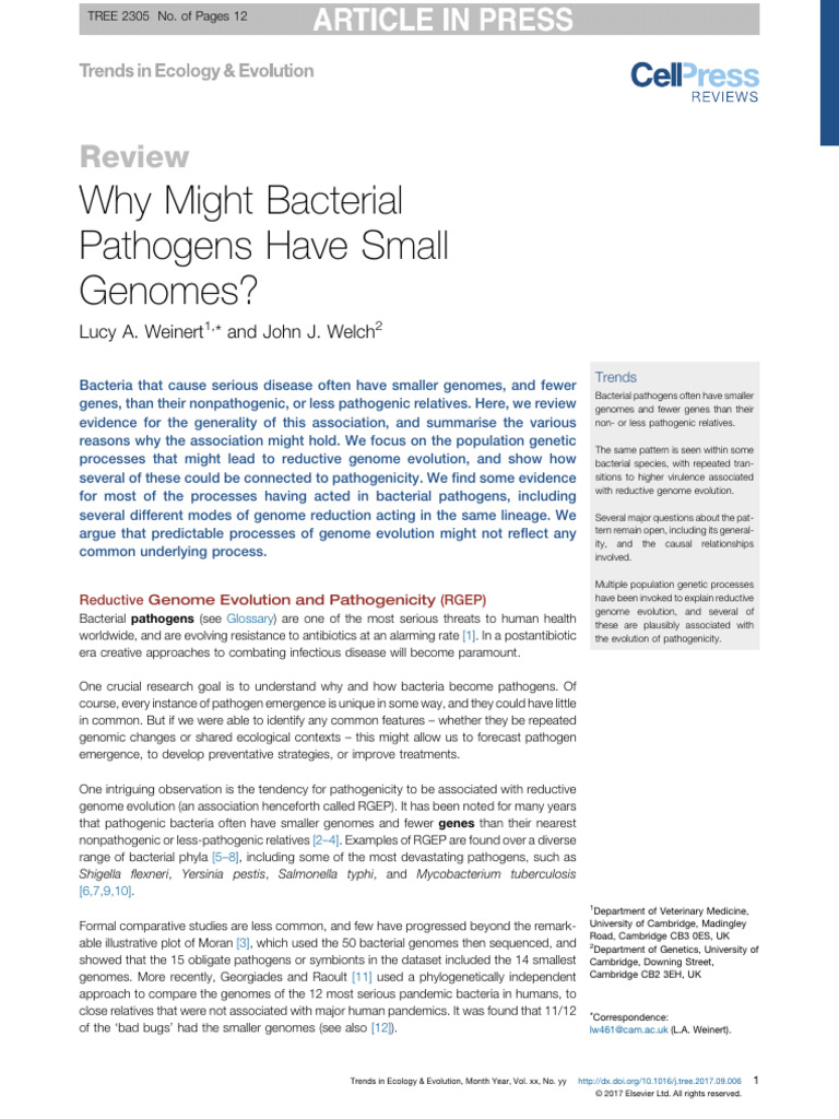 Why Might Bacterial Pathogens Have Small Genomes? | PDF