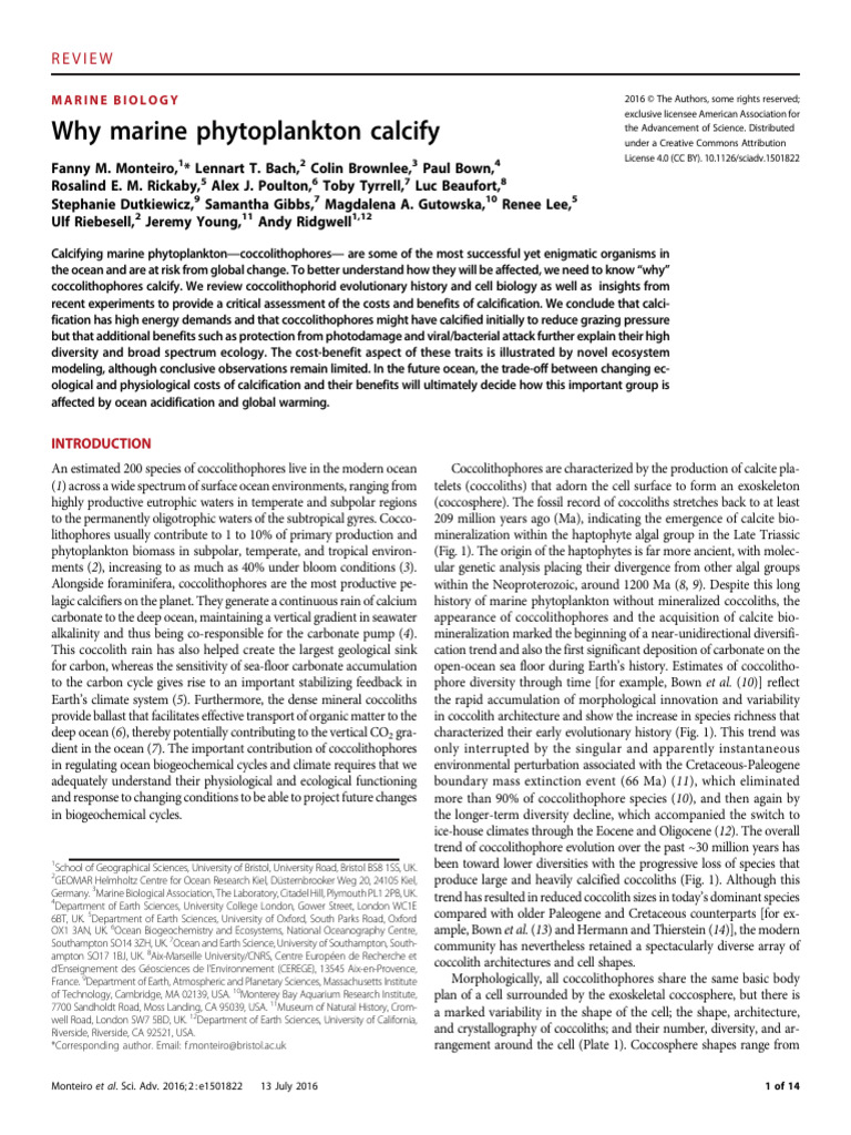 Why Marine Phytoplankton Calcify | PDF