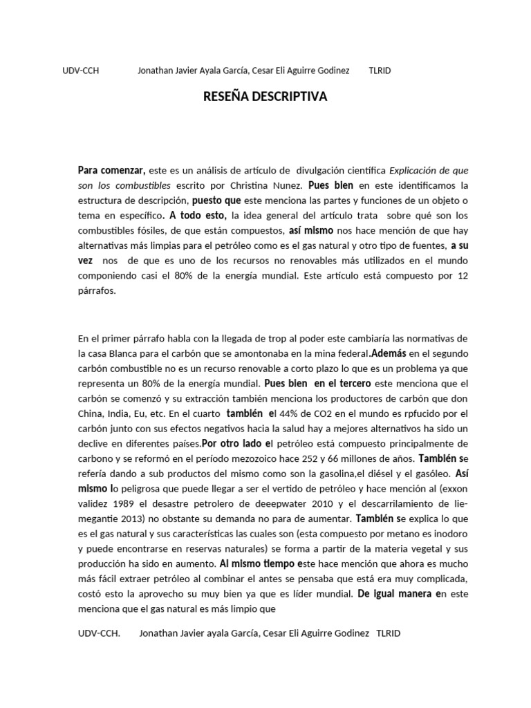 Reseña Descript | PDF