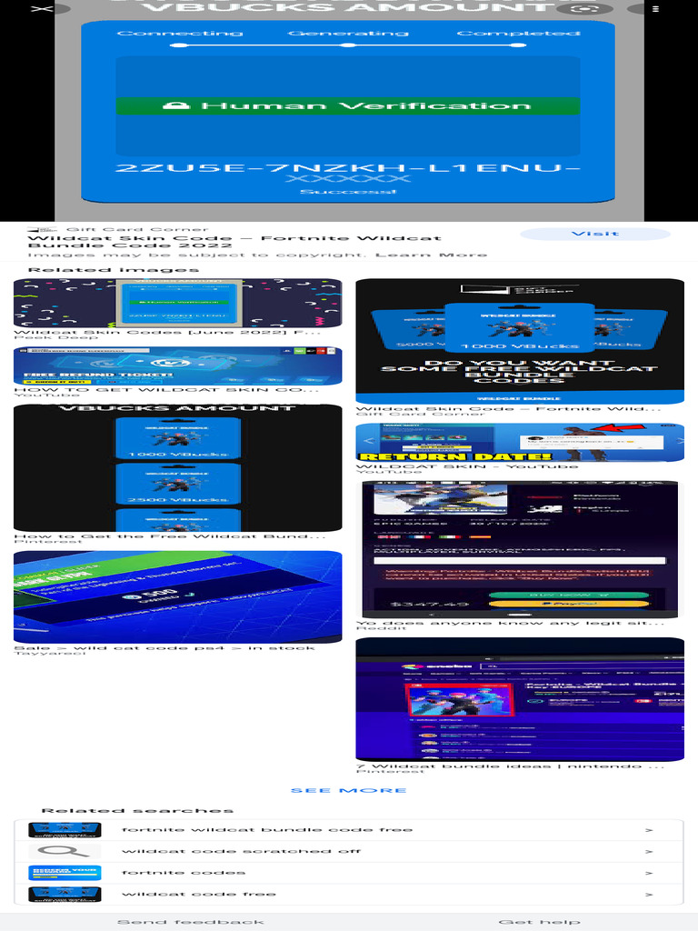 Fortnite Wild Cat Controller Bundle Code Free - Google Search | PDF