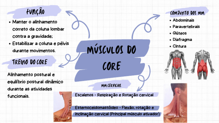 Músculos Do Core | PDF
