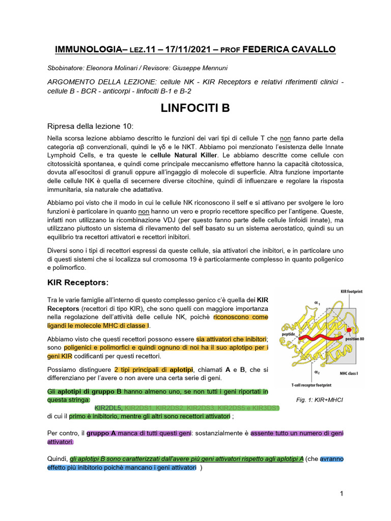 Immunologia - Lezione 11 | PDF