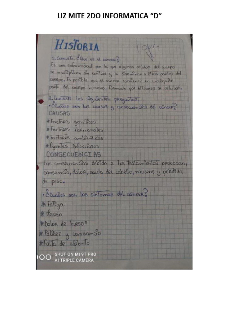 Trabajos Steam 2 Do Informatica D Historia y Ciudadania | PDF