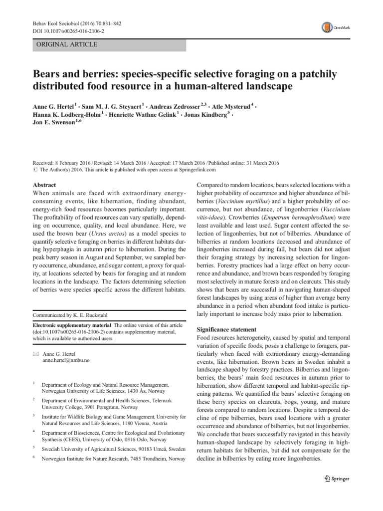 Bears and Berries: Species-Specific Selective Foraging On A Patchily ...