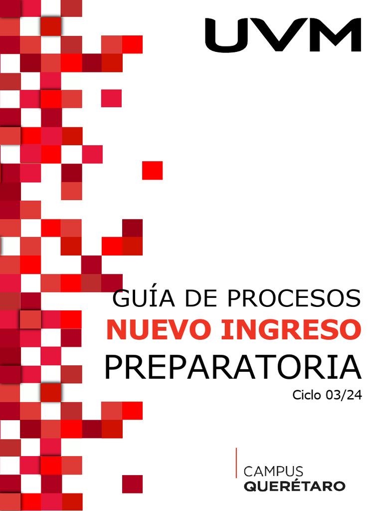 Guia de Procesos - 2024 | PDF