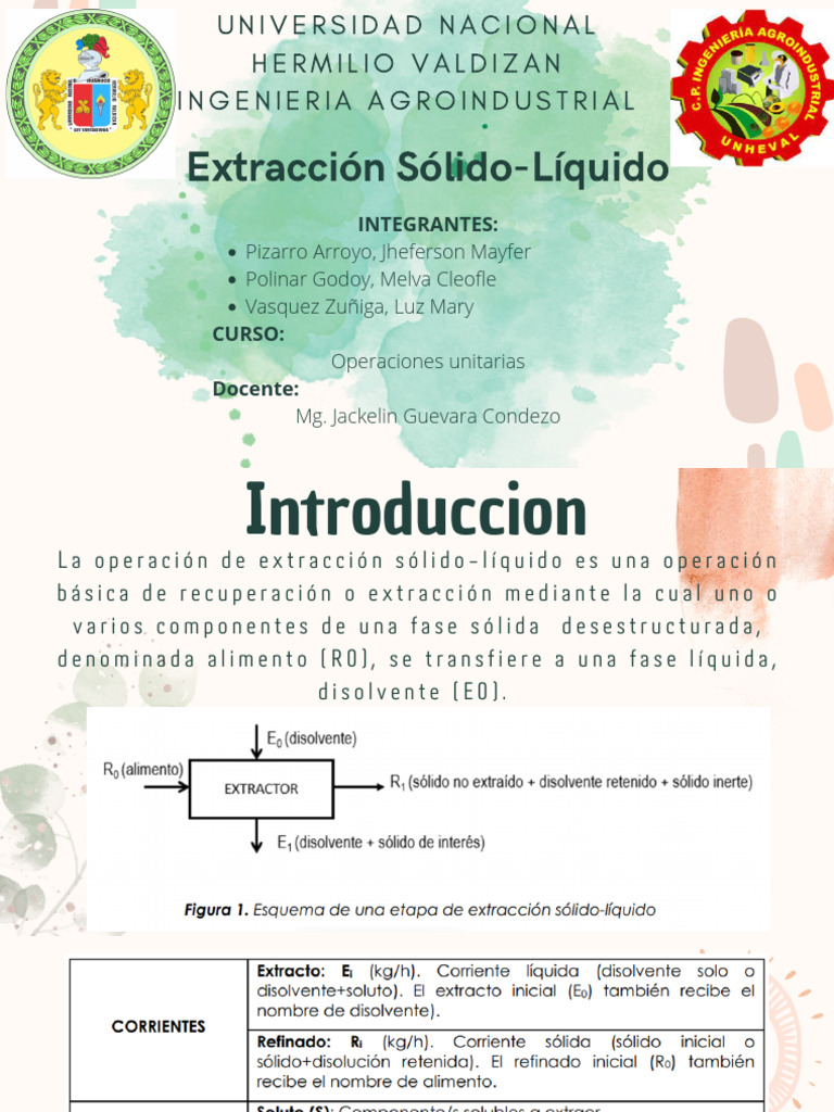 Extracción Sólido-Líquido en Alimentos | PDF | Solubilidad | Química