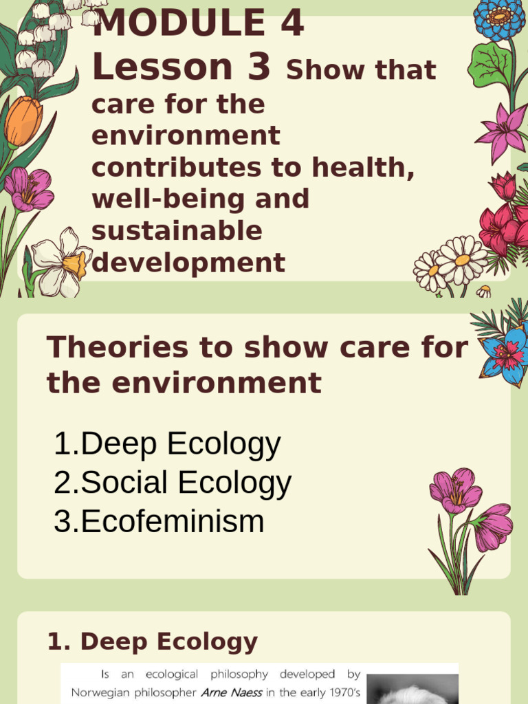 Module 4 Lesson 3 | PDF