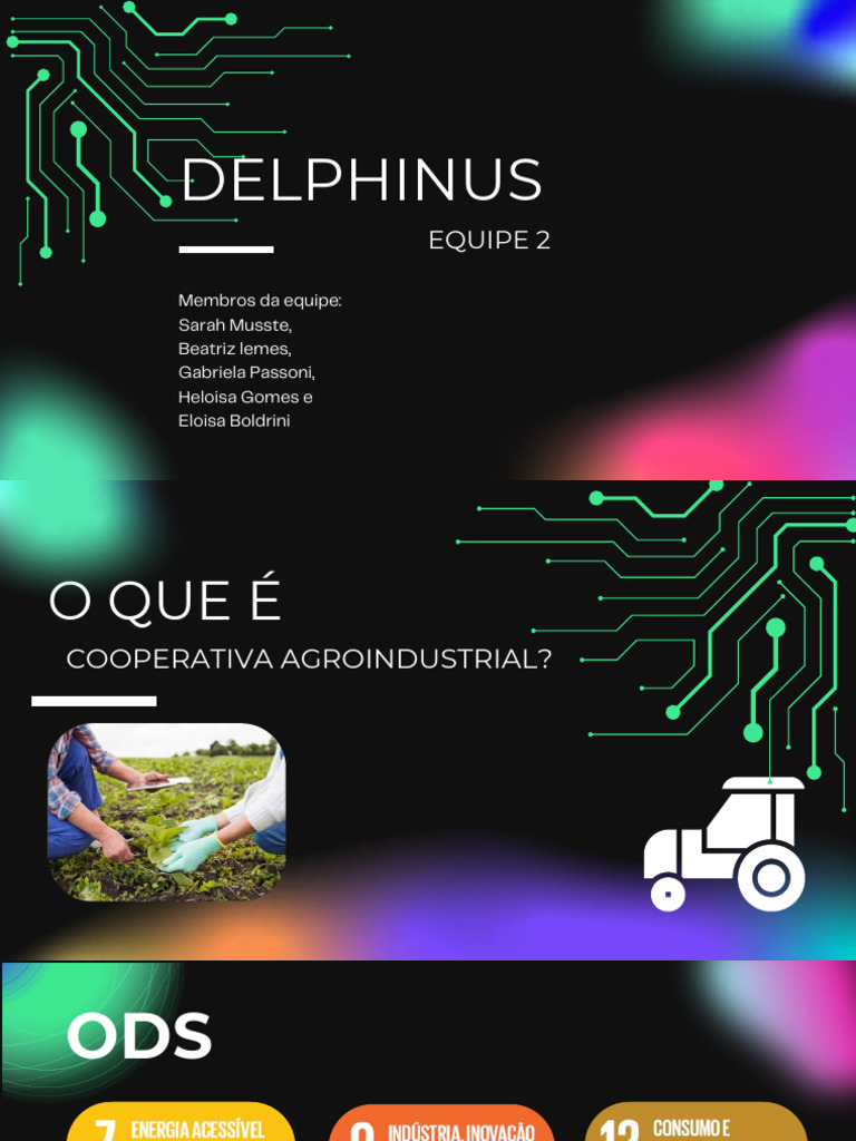 Delphinus Equipe 2 - 20240828 - 080501 - 0000 | PDF