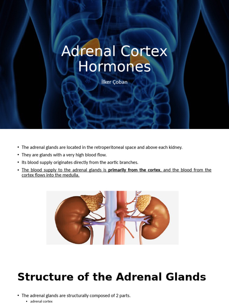 Adrenal Cortex Hormones | PDF