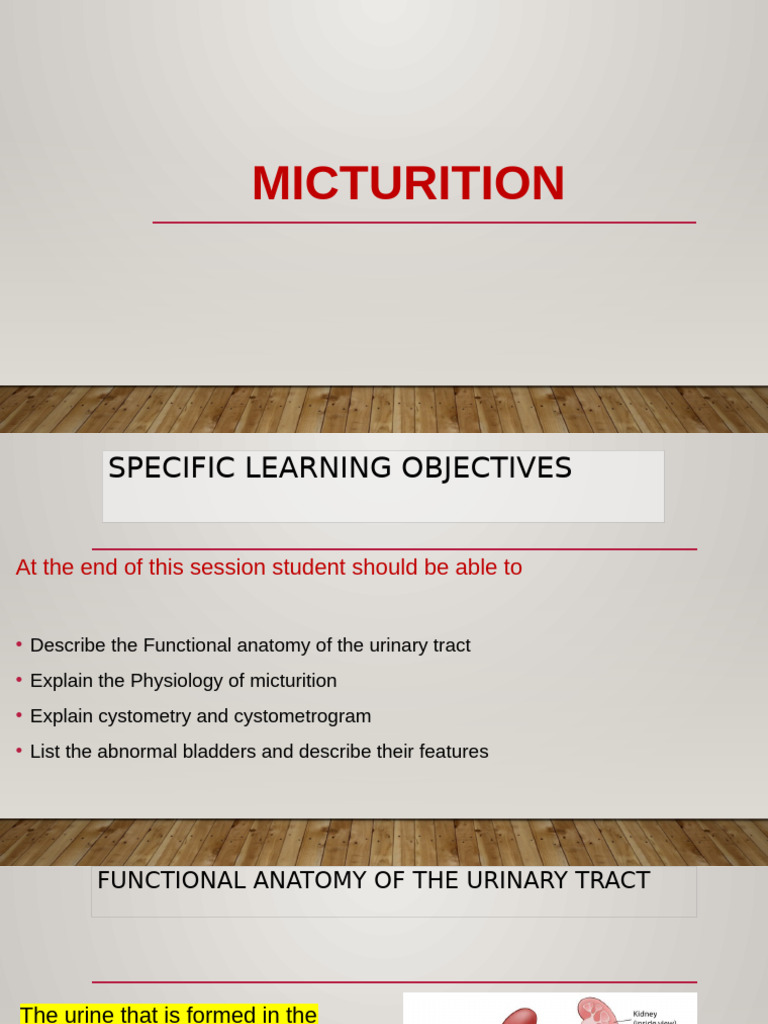 MICTURITION 3 | PDF