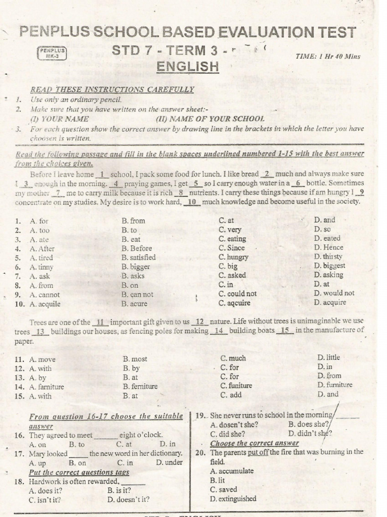 STD 7 EXAM 4 English Questions P | PDF