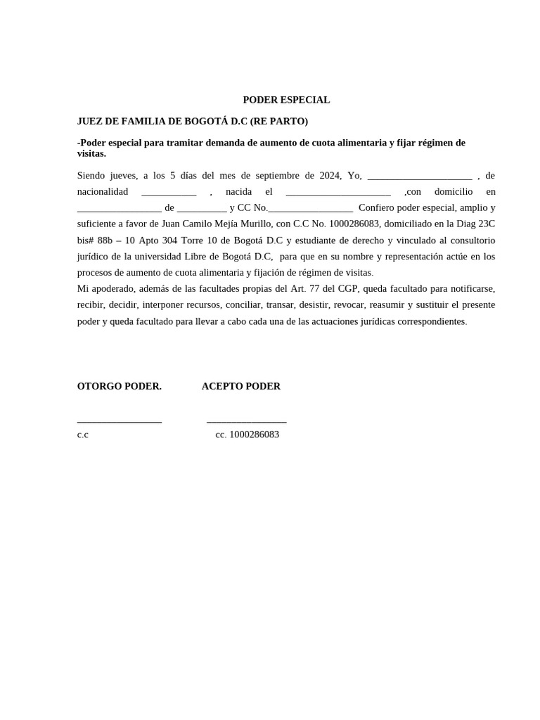 Modelo de Poder Especial 0 | PDF