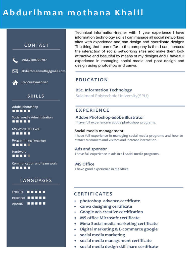 Abdulrhamn Mothana cv2 | PDF