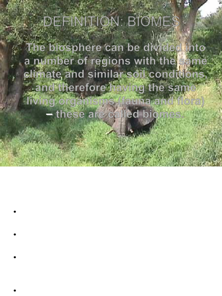 South Africa's Diverse Biomes | PDF | Forests | Savanna