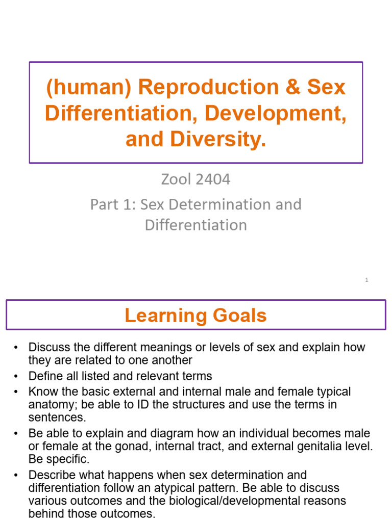 Zool2404 8 Sex Deter Diff Diversity Repro Humans | PDF