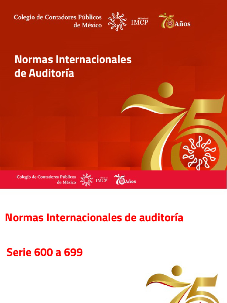 Sesion 6 NIA 600 | PDF