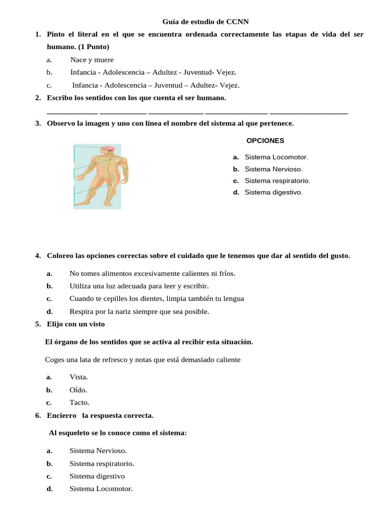 Guia de Estudio de CCNN | PDF