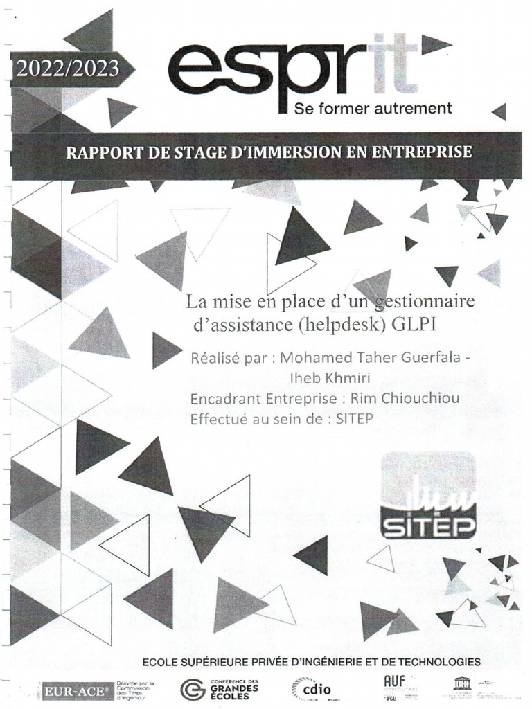 Rapport Esprit Info | PDF