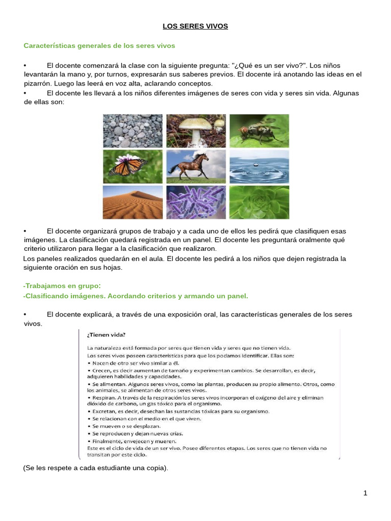 Los Seres Vivos 4to | PDF