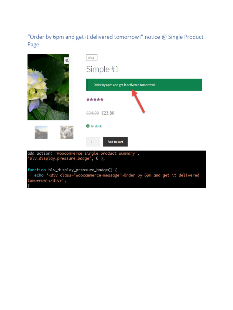 PHP Snippet - Single Product | PDF
