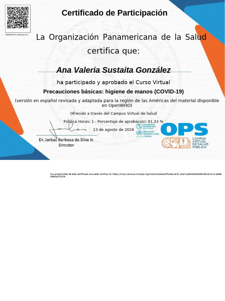 Precauciones Básicas, Higiene de Manos COVID 19 ANA VALERIA SUSTAITA ...