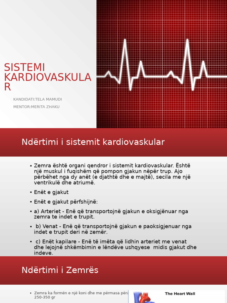 Sistemi Kardiovaskular | PDF