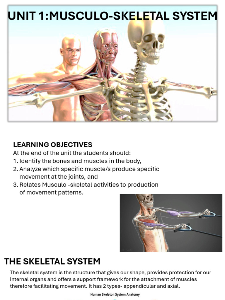 UNIT 1 Musculoskeletal | PDF