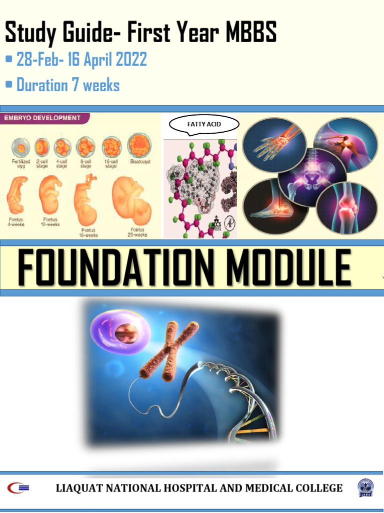 Foundation Module 2022 | PDF