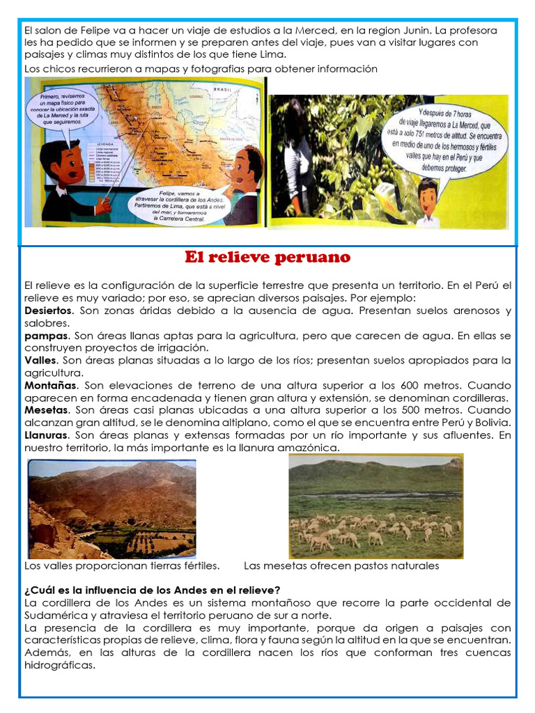 FICHA PS 27 08 24 | PDF