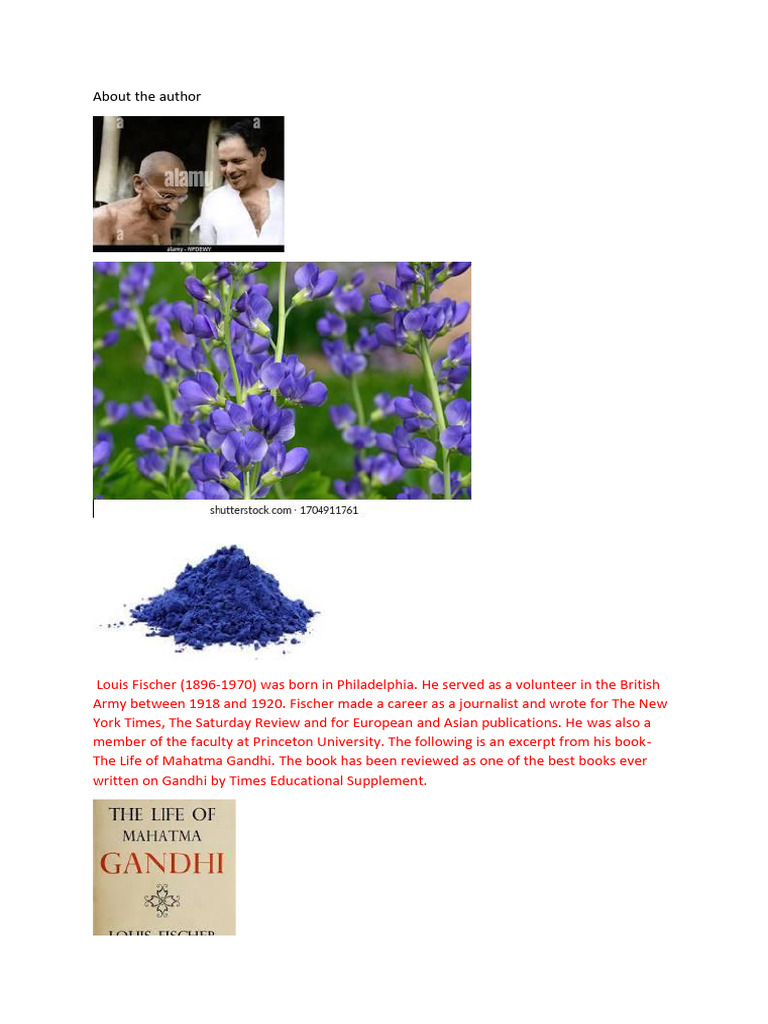 Indigo | PDF | Mahatma Gandhi