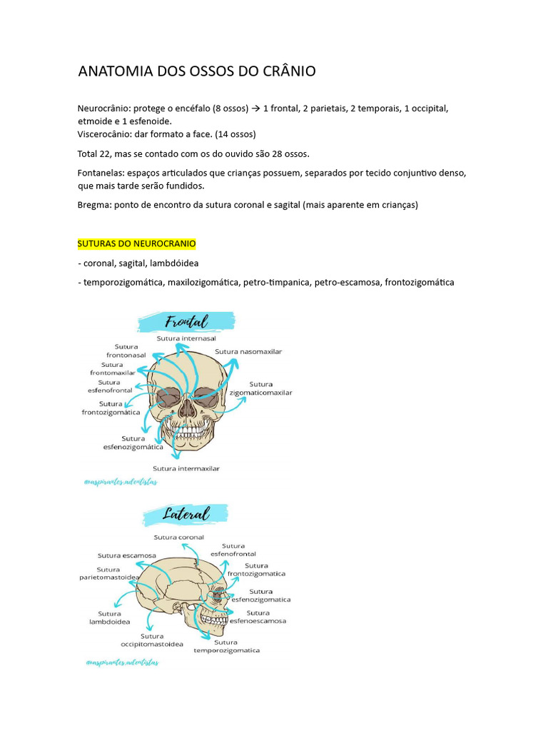 ANATOMIA DOS OSSOS DO CRÂNIO (2) | PDF