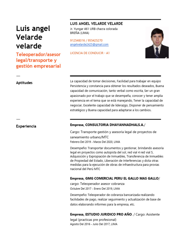 'CV Luis 2021 PDF 46009208 | PDF