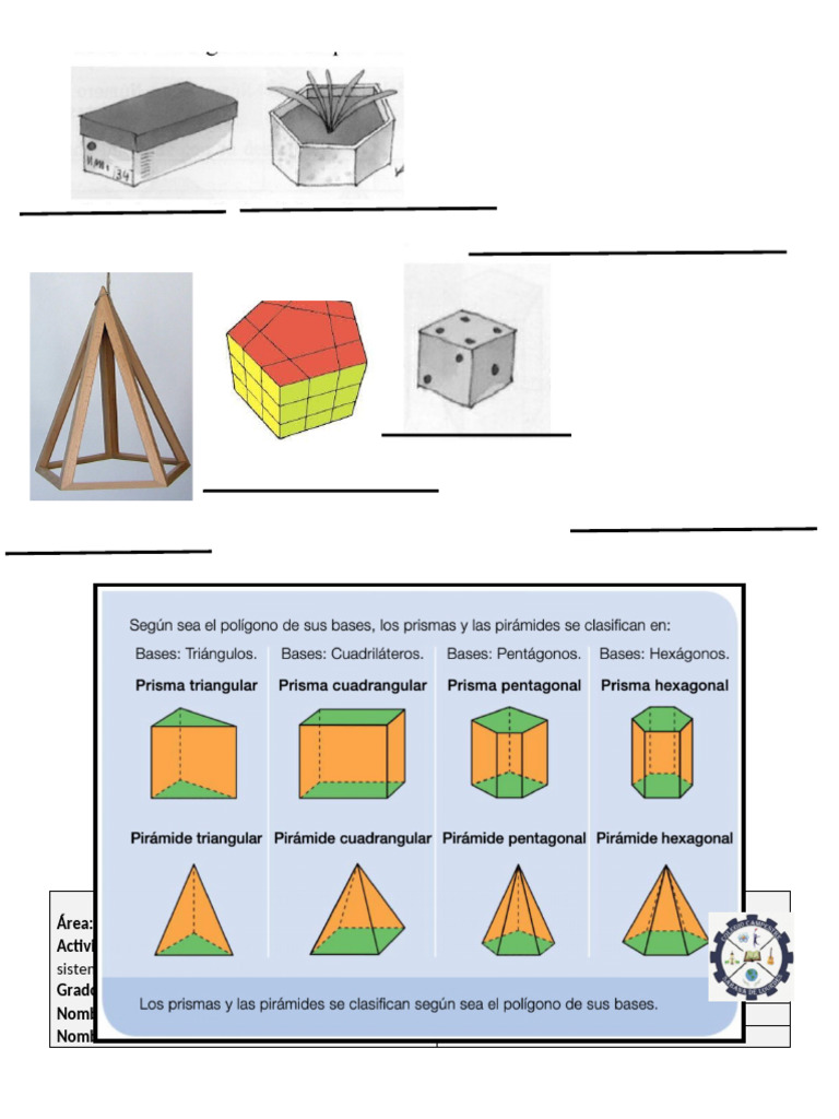 prismas 3° y sistema circulatorio | PDF