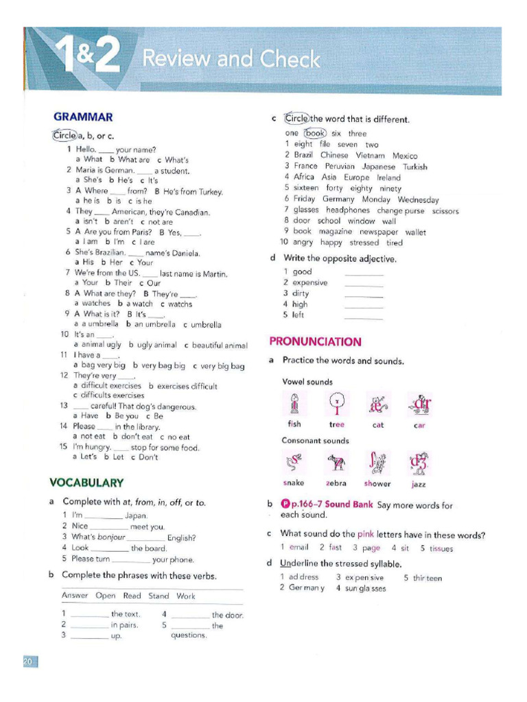 Review + AEF1 - U2 - SB | PDF