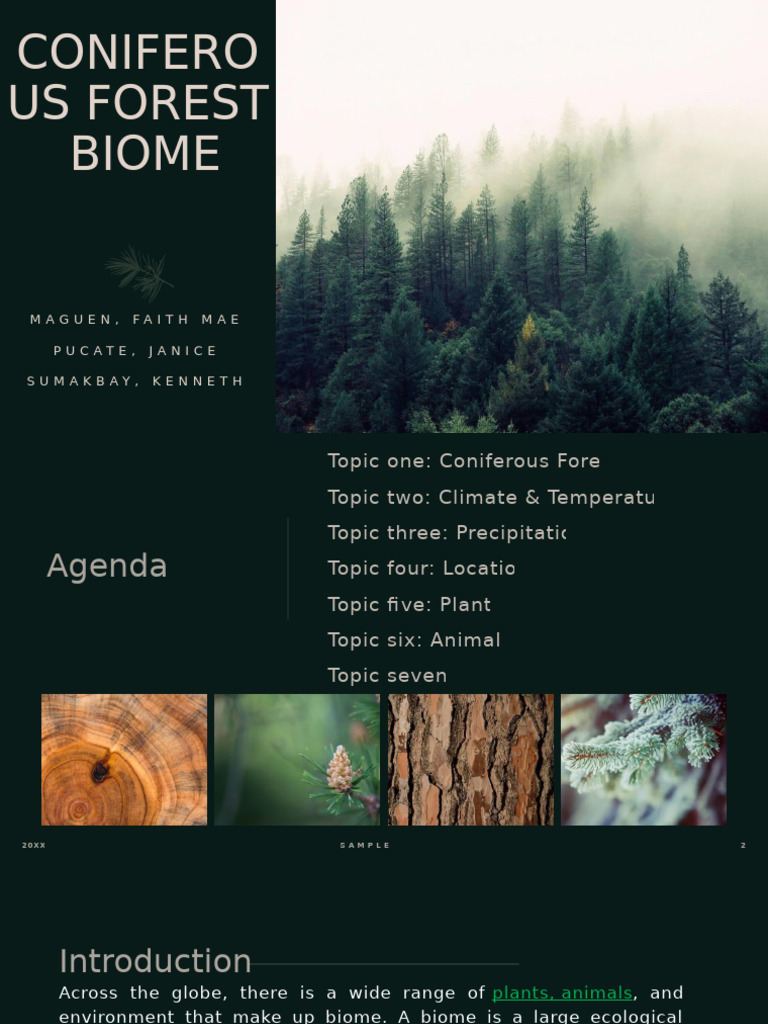 Coniferous Forest Biome F. ECOLOGY | PDF