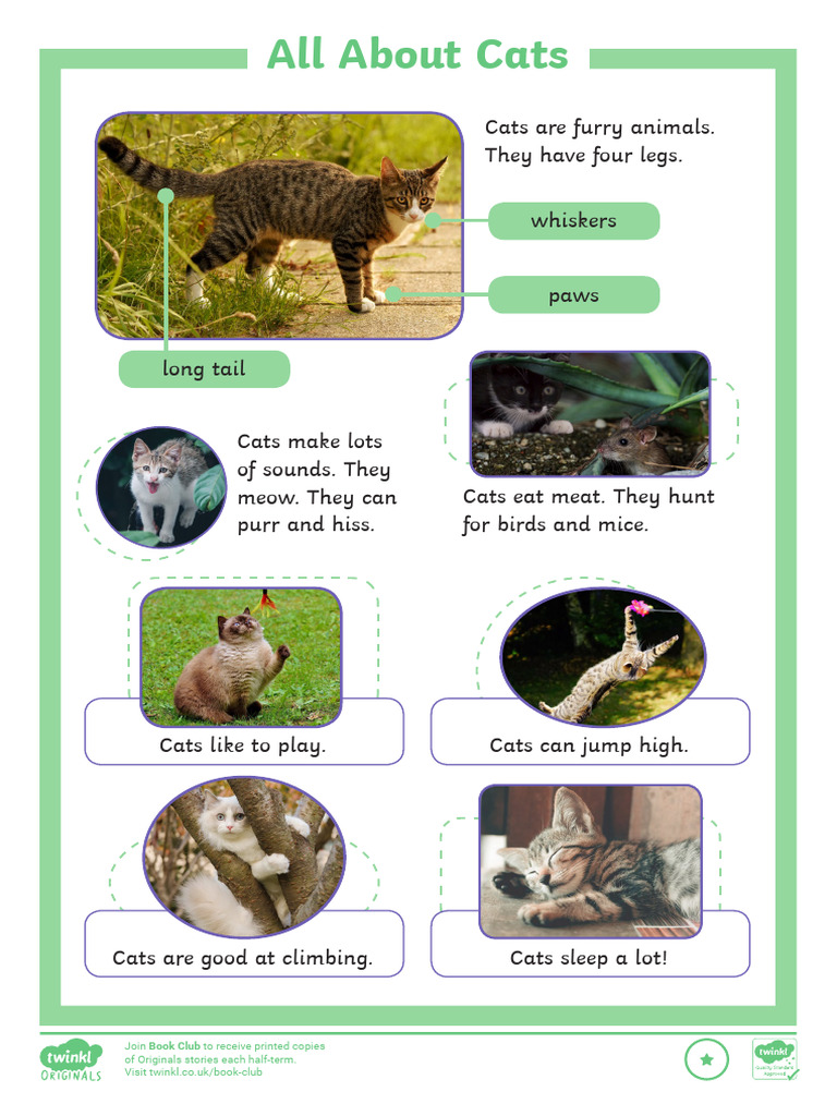 Reading-Comprehension-cats | PDF