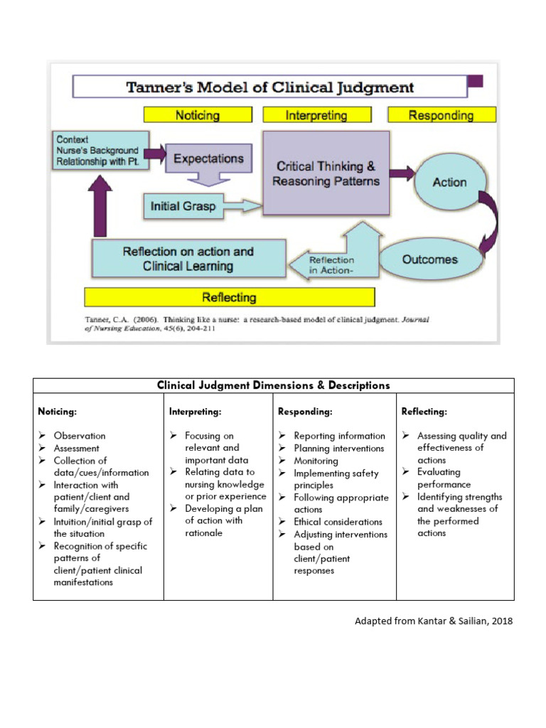 Tanners Clinical Judgment Model and Descriptions | PDF | Business