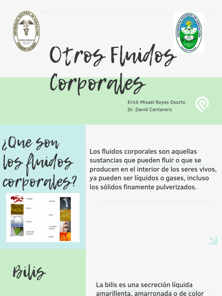 Fluidos Corporales | PDF