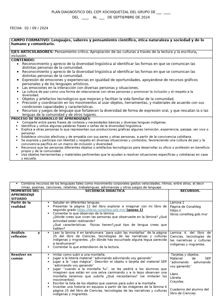 Plan Diagnóstico CEPI Xochiquetzal 2024 | PDF | Las emociones ...