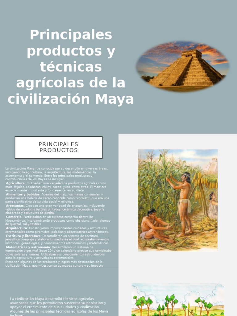 Civi Maya | PDF