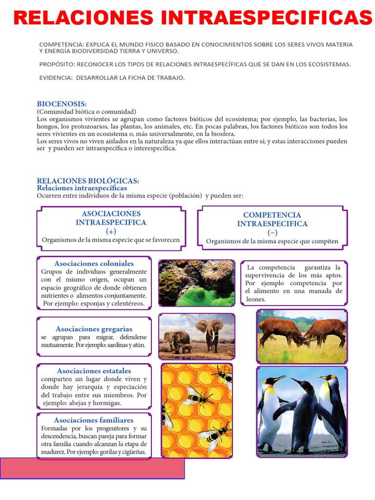 RELACIONES INTRAESPECIFICAS | PDF
