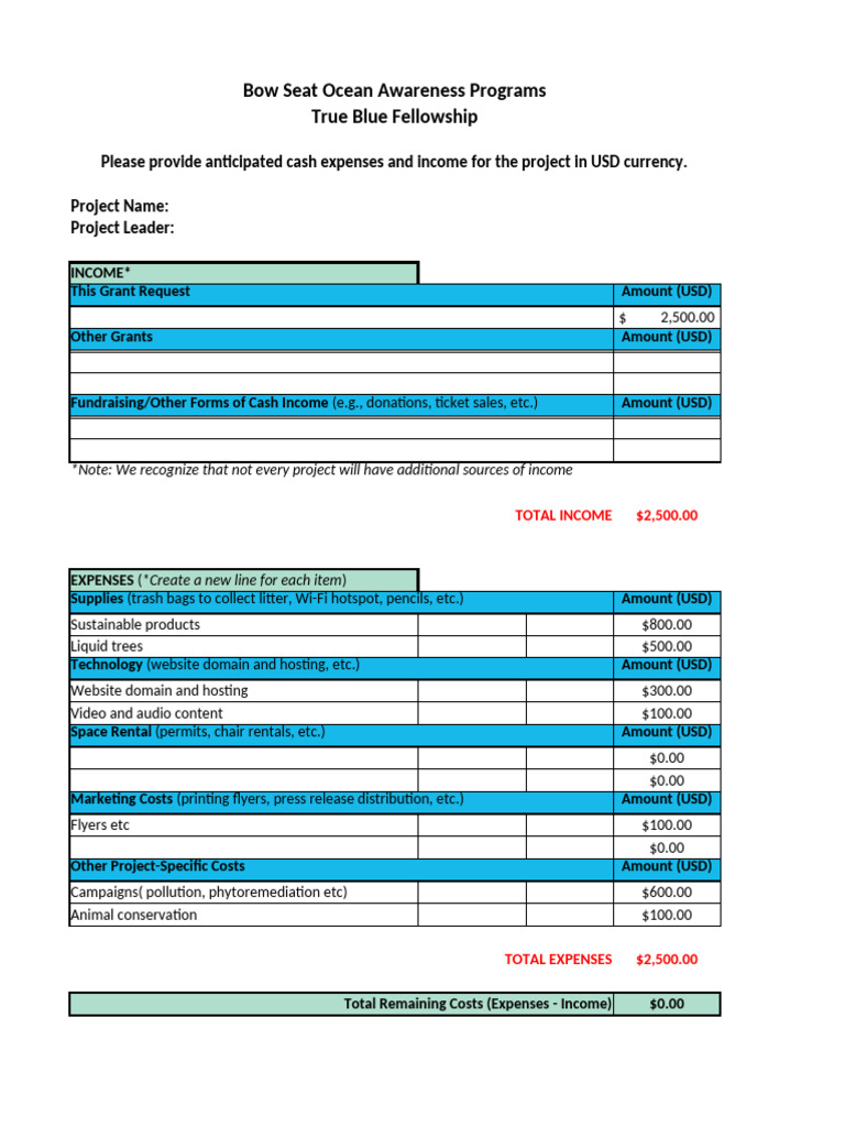 Fellowship Program Budget Template | PDF