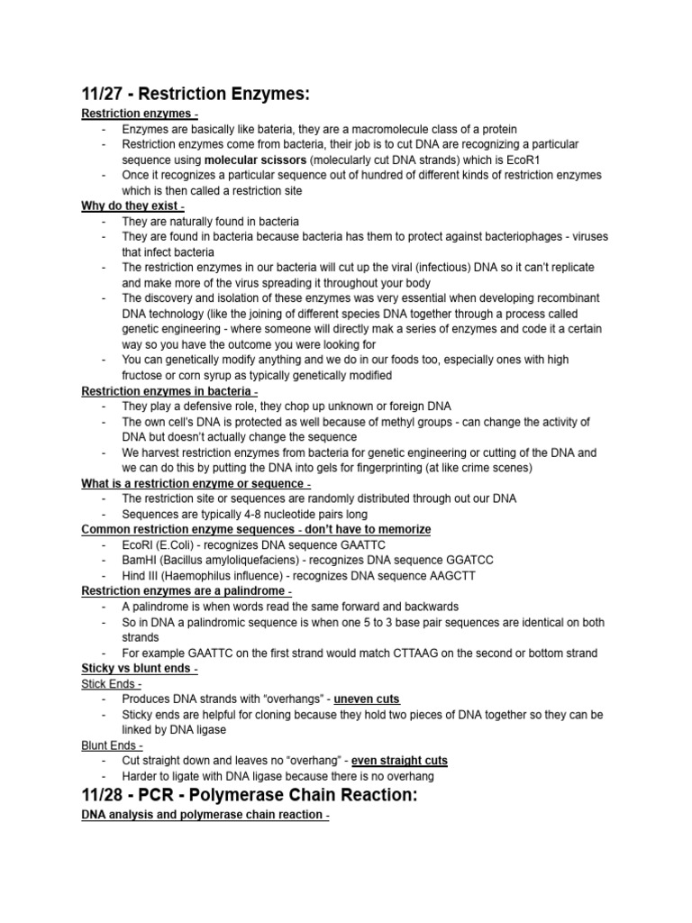 Bio 2H - Enzymes | PDF | Gel Electrophoresis | Polymerase Chain Reaction