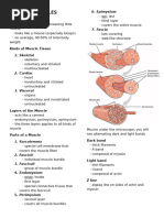 Kinesiology Flashcards, 3E - Lippert, Lynn S., Minor, Mary Alice ...