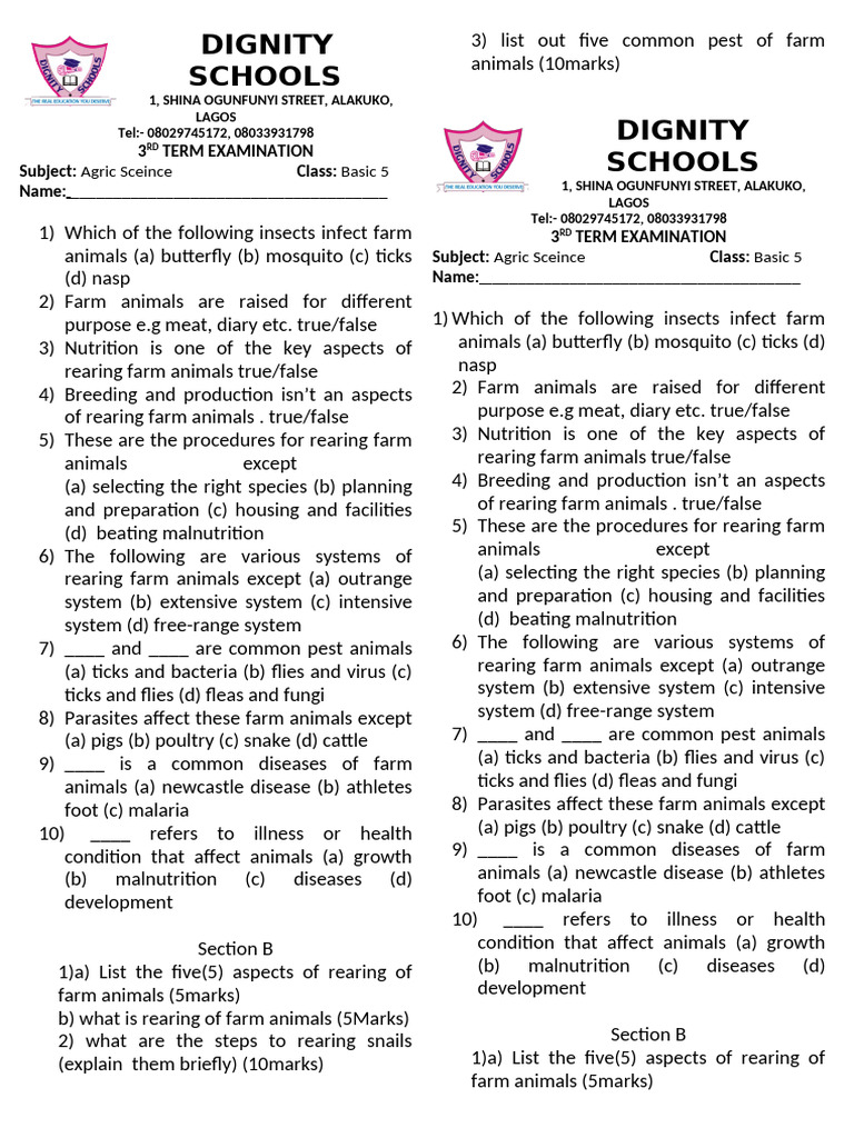 latest new basic 5 | PDF