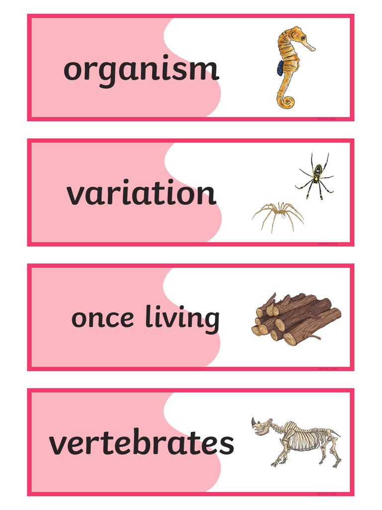 Living and Non-Living Things Word Cards | PDF