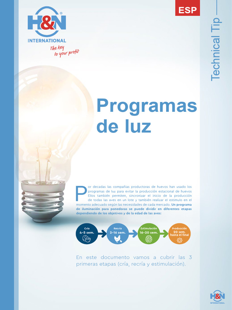 HN Lightprogram SPA | PDF