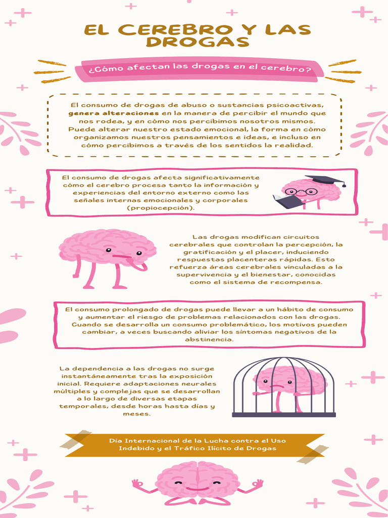 Infografia Drogas Y Cerebro Pdf