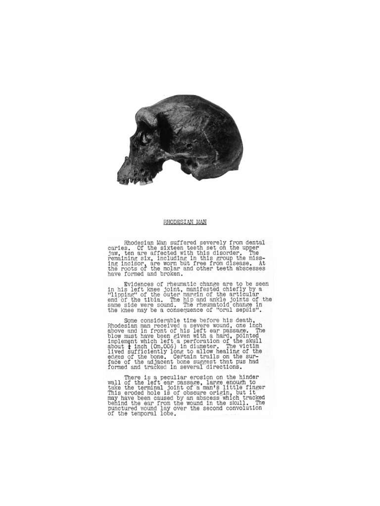Rhodesian Man | PDF